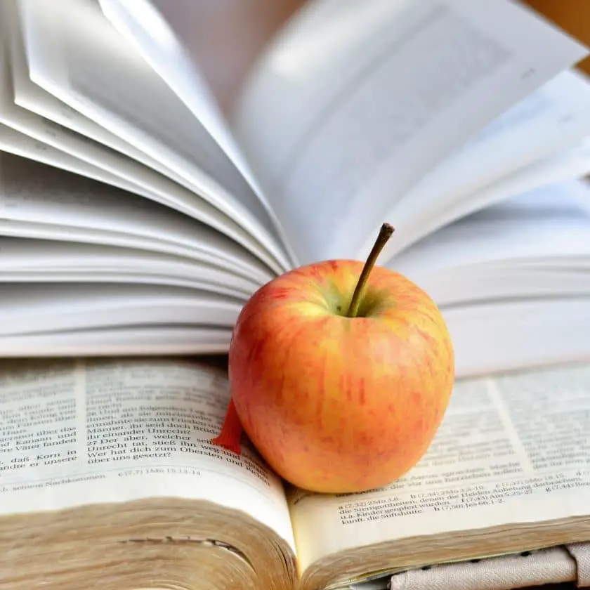 Everything You Need To Know About Fornication in The Bible - Assured Faith