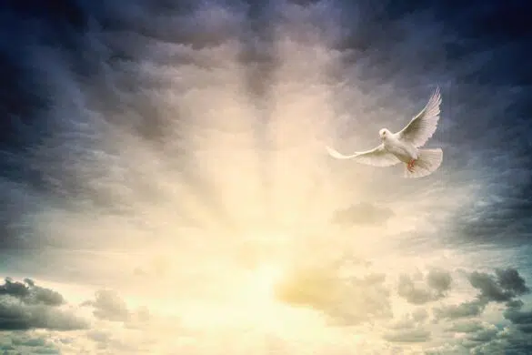 14 Signs of the Holy Spirit: A Guide for Christians - Assured Faith