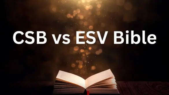 CSB vs. ESV Bible: Which Bible Translation is Better in All Areas ...