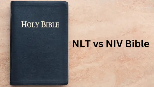 New Living Translation (NLT) vs. New International Version (NIV) Bible ...